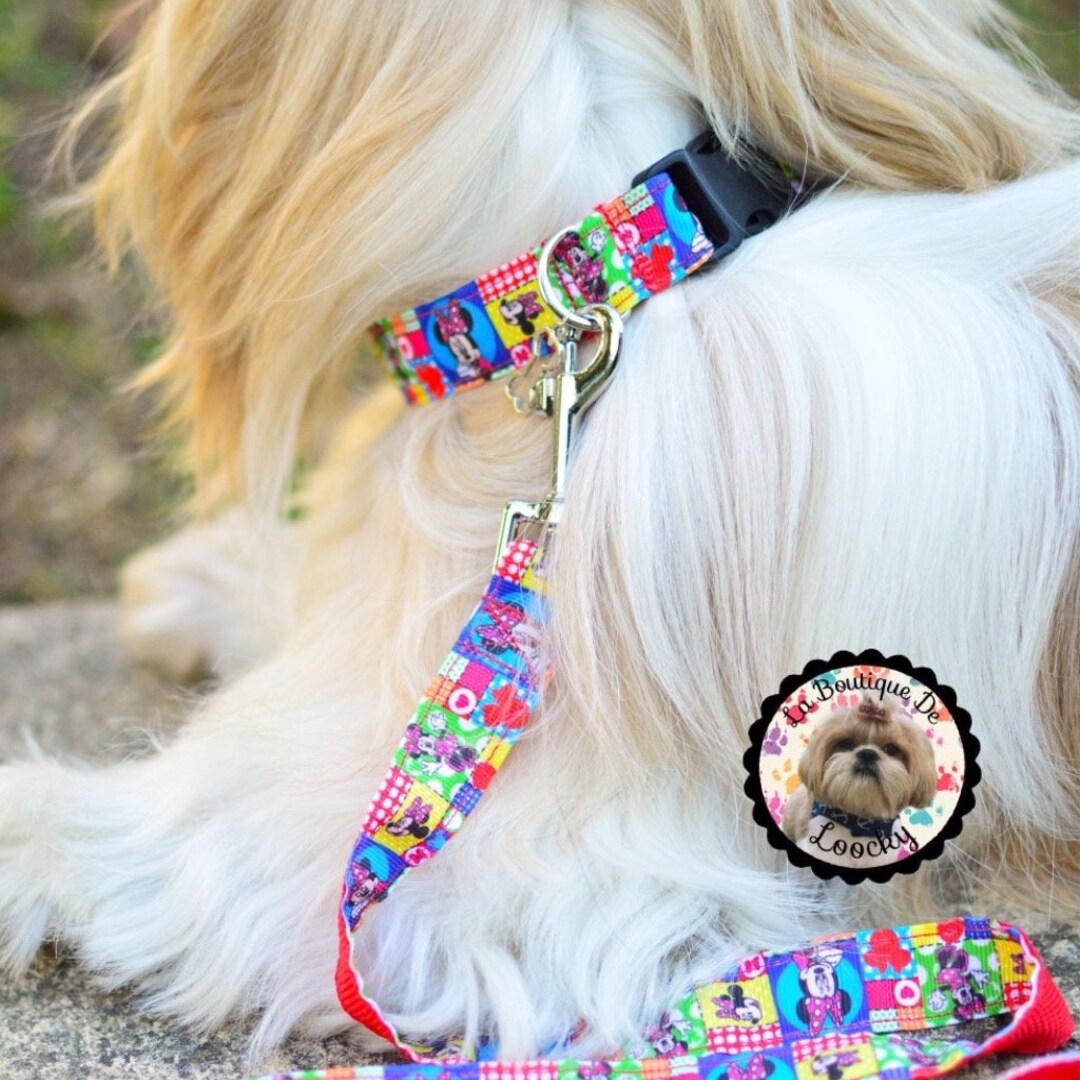 Disney Minnie Collar for Dog and Cat / Matching Leash / Dog Walk ...