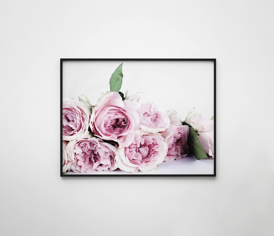 Roses Print Pink Roses Poster Pink Flower Poster Floral - Etsy