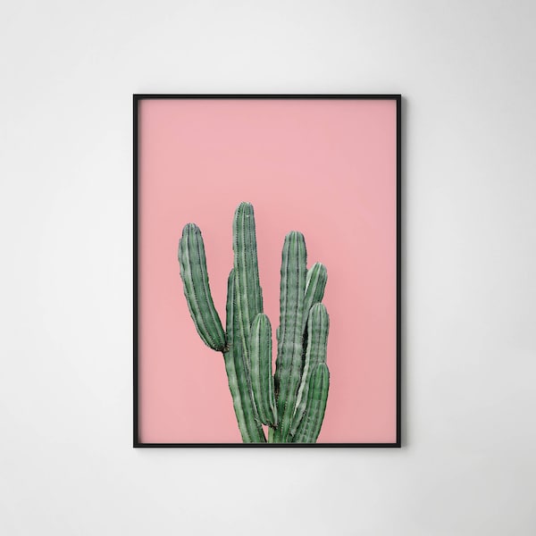Cactus Poster - Etsy
