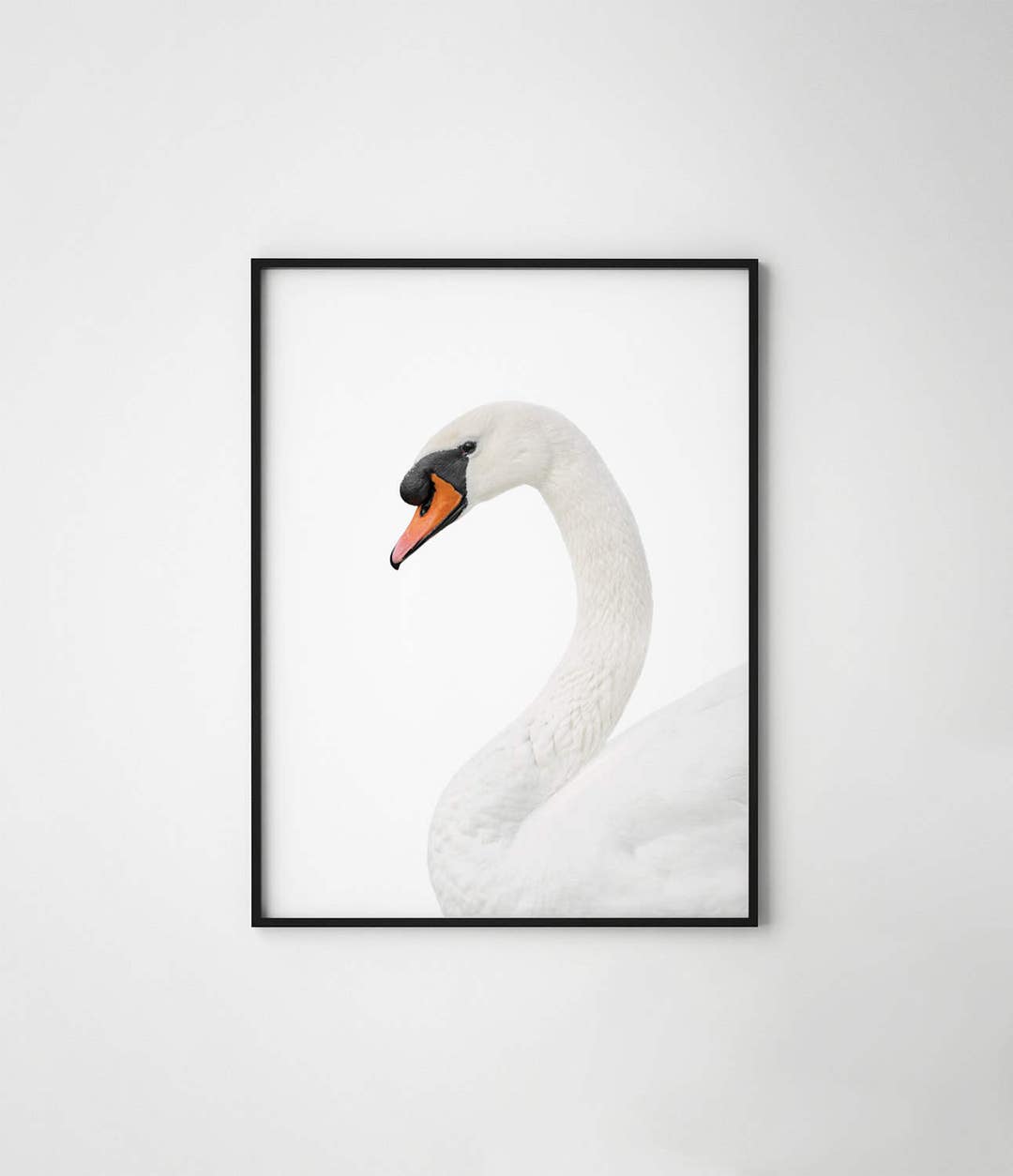 Swan Print White Swan Swan Poster - Etsy