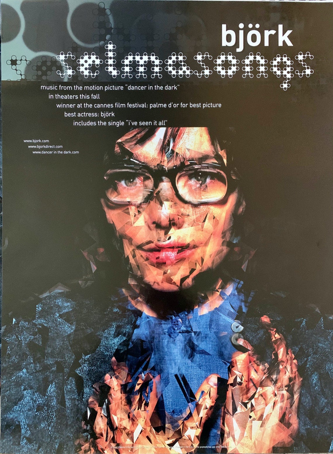Bjork: Selmasongs 18"x24" Poster - Etsy