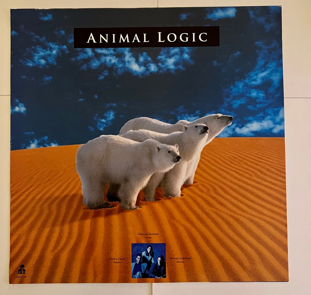 Animal Logic Album Poster 24”x24” 1991 - Etsy