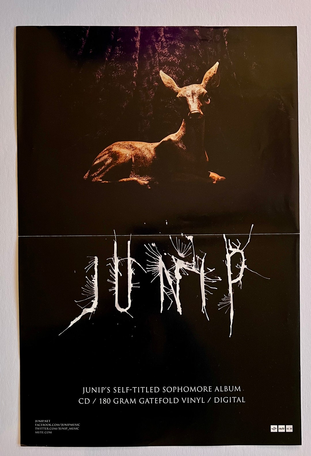 Junip: Junip Album Poster 12”x18” 2013 - Etsy