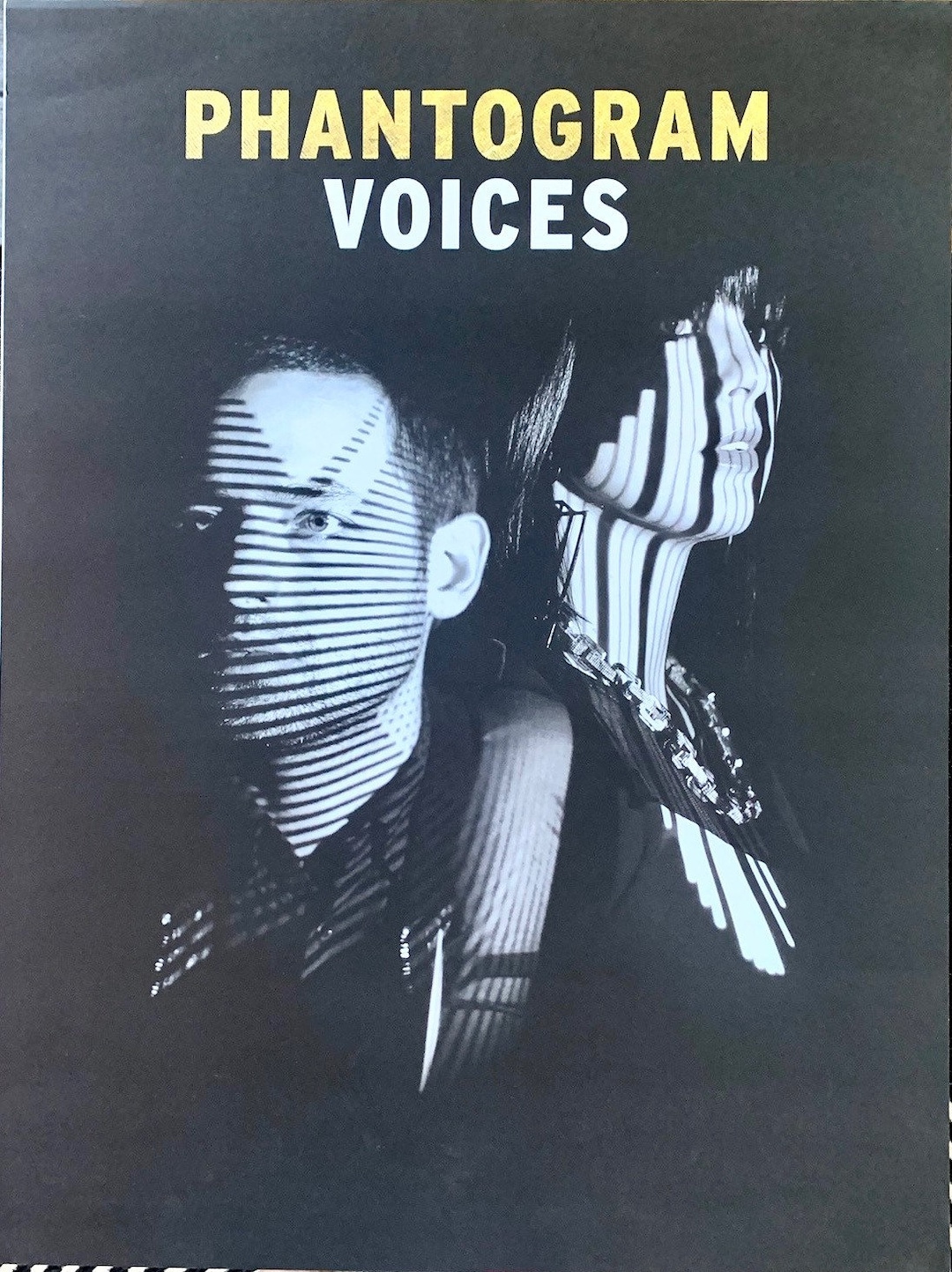 Phantogram: Voices Album Poster 18”x24” - Etsy