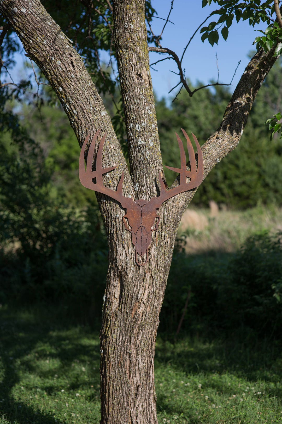 2D Deer Skull - Rustic - Patina - Deer Head - Skull - Wildlife - Nature ...