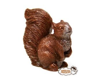 Chocolate Squirrel | Etsy UK