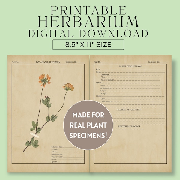 Herbarium Label - Etsy