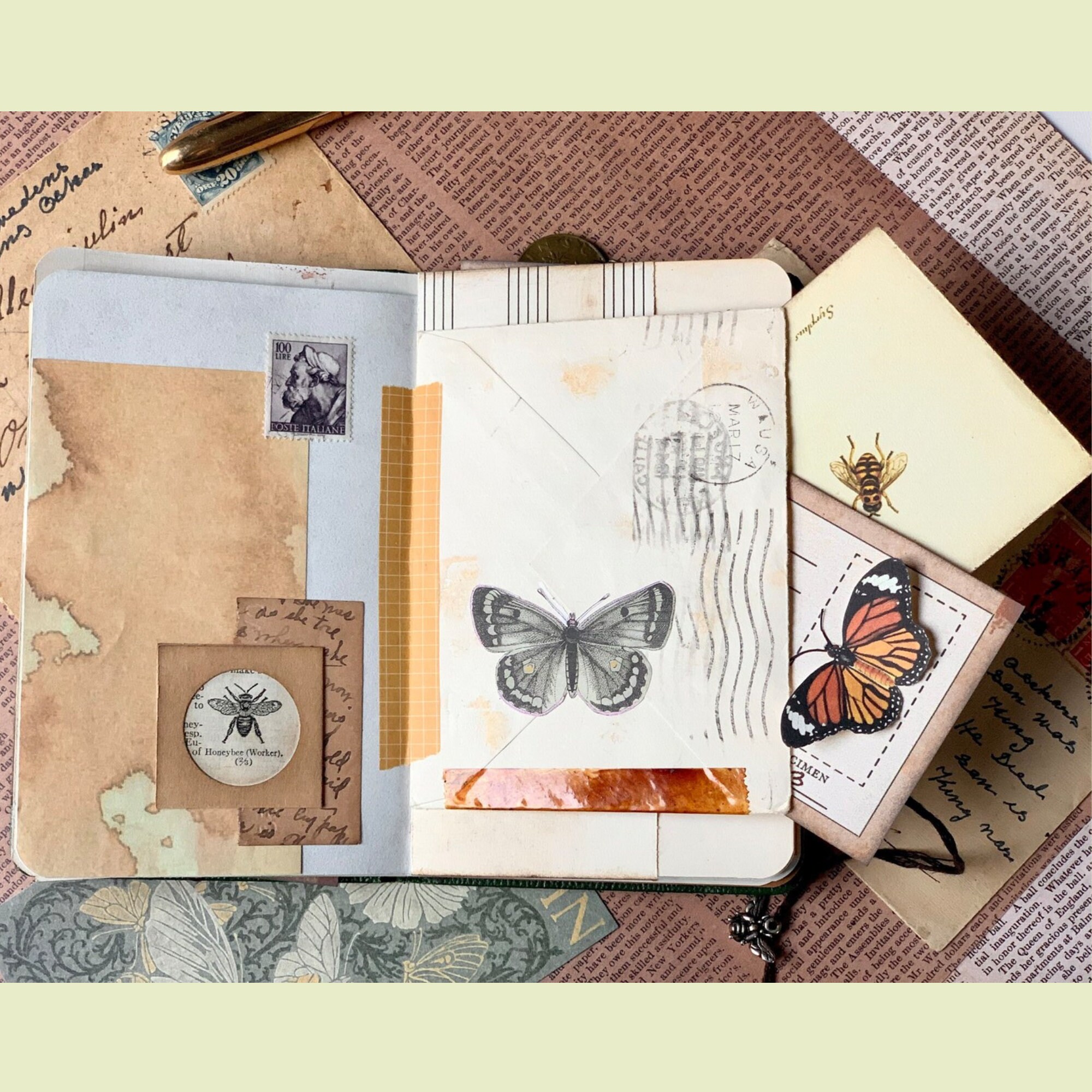 Butterfly Specimen Card Kit Digital Download Printable - Etsy