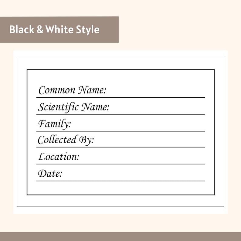 Botanical Herbarium Labels Digital Download File | Printable Plant ...