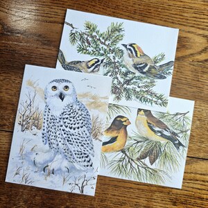 Vintage Winter Birds Illustrated Cards & Envelopes, Set of 3 Stationary ...