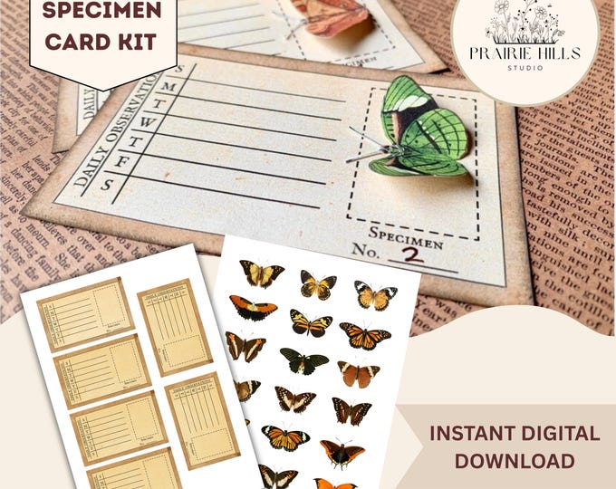 Butterfly Specimen Card Kit (digital Download) - Etsy