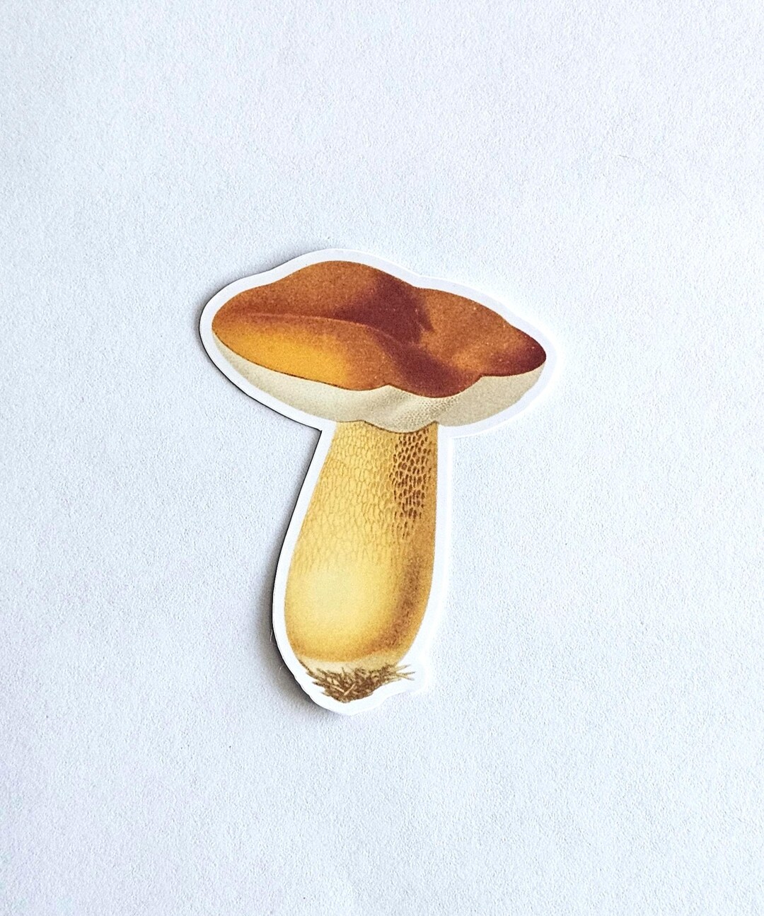Waterproof Mushroom Sticker | Adhesive Vinyl Sticker - Etsy