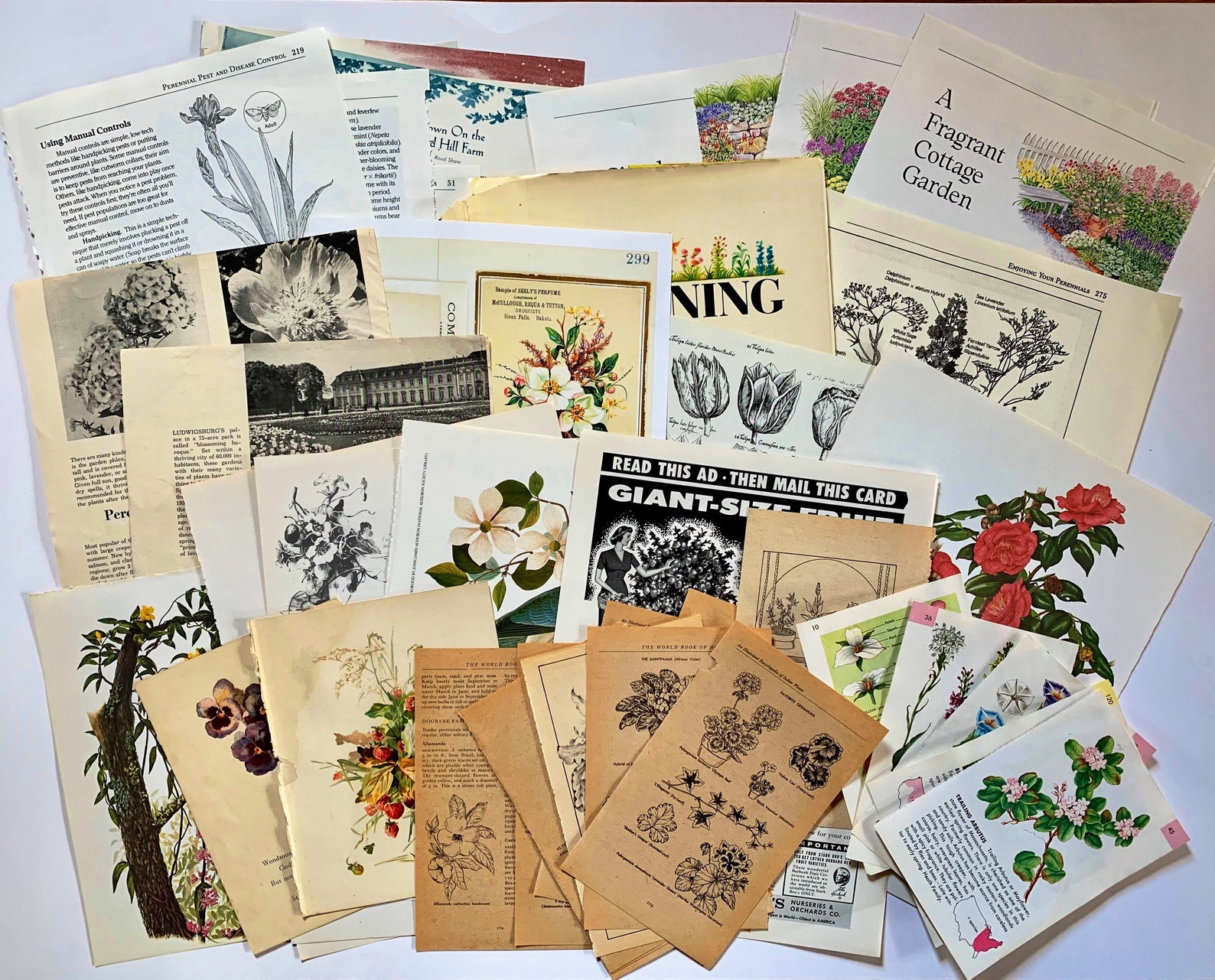 Vintage Paper Pack 100 Pages Vintage Ephemera Junk - Etsy