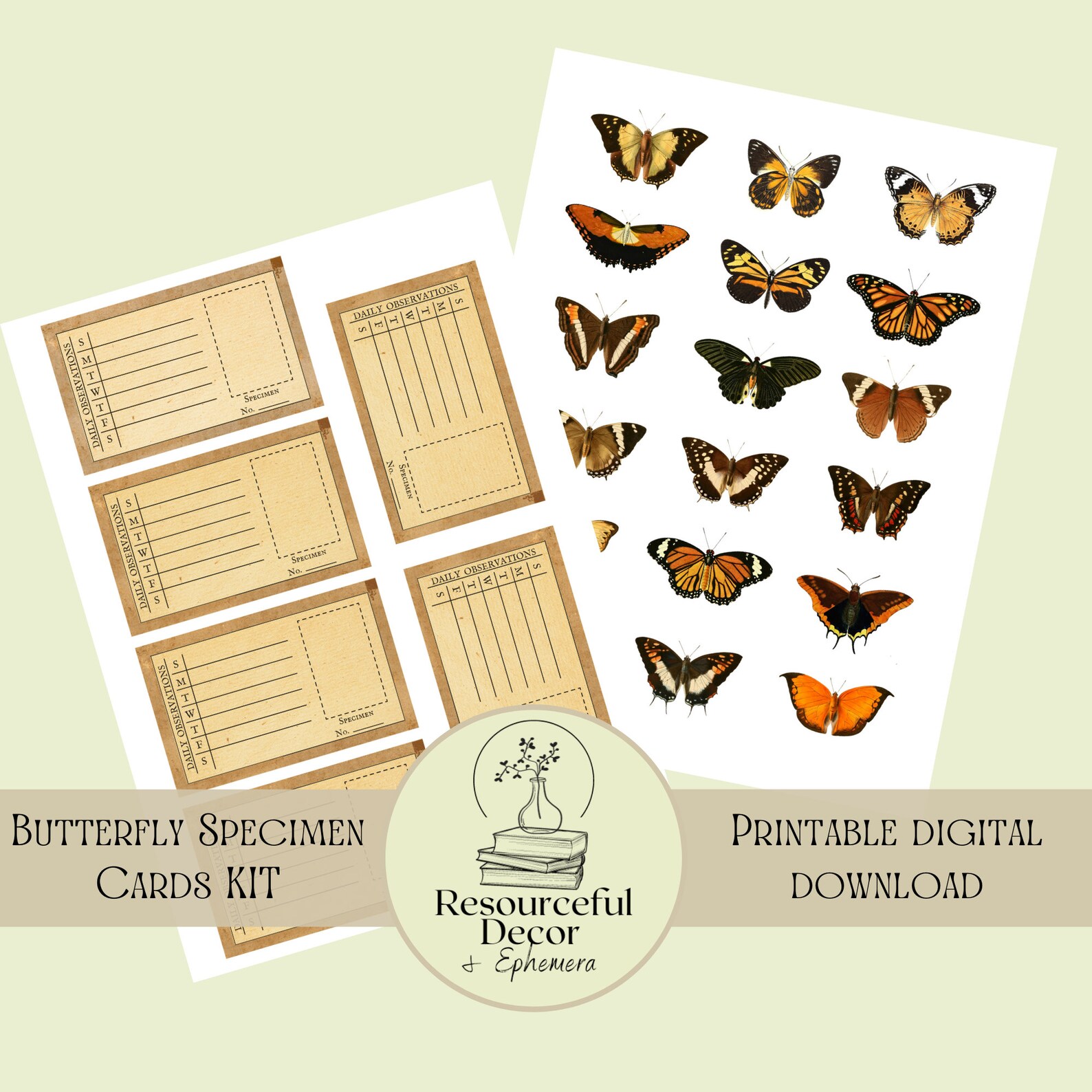 Butterfly Specimen Card Kit Digital Download Printable - Etsy