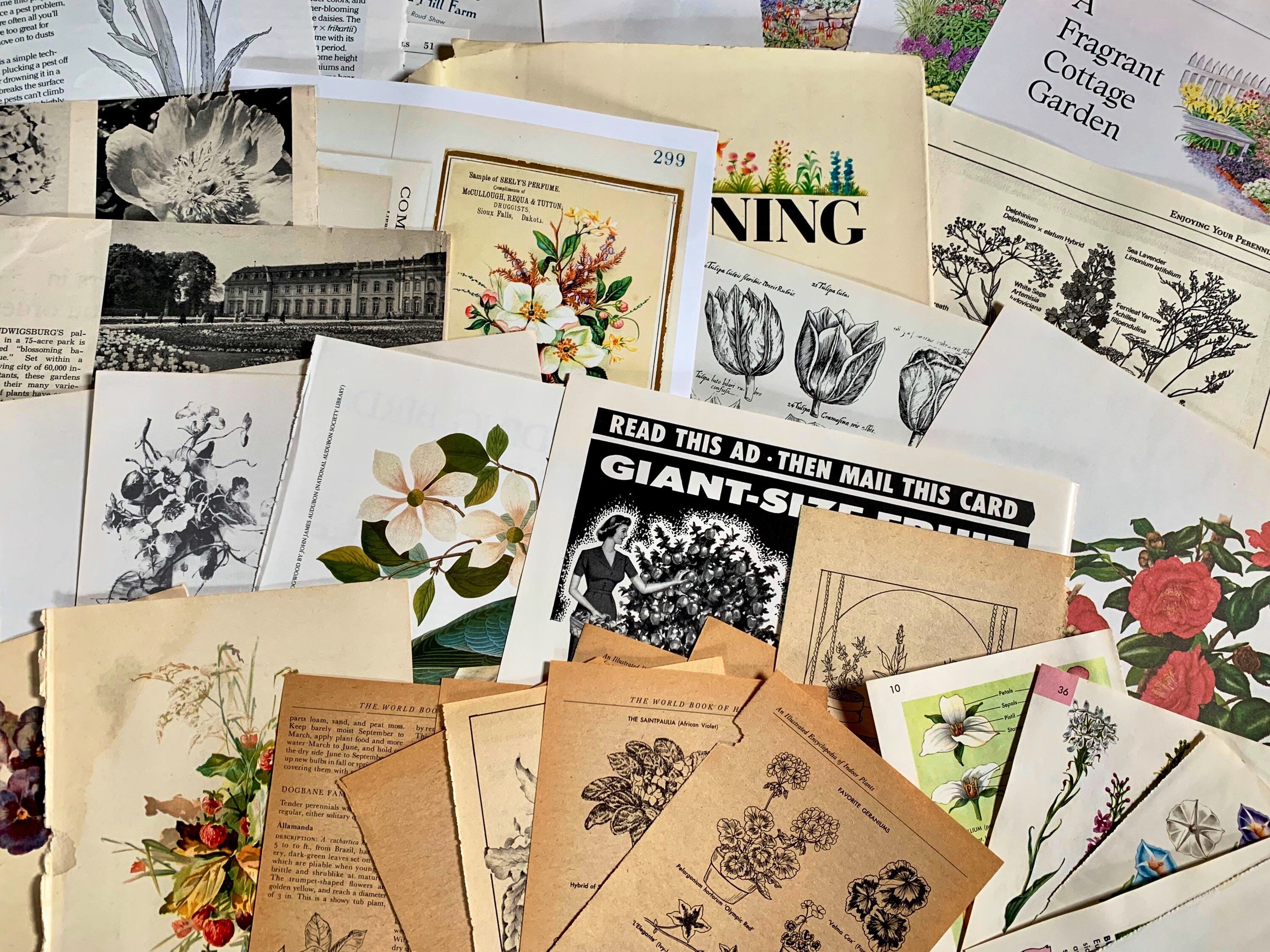 Vintage Paper Pack 100 Pages Vintage Ephemera Junk - Etsy