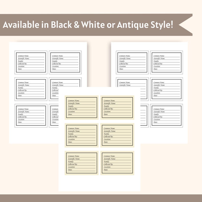 Botanical Herbarium Labels Digital Download File | Printable Plant ...