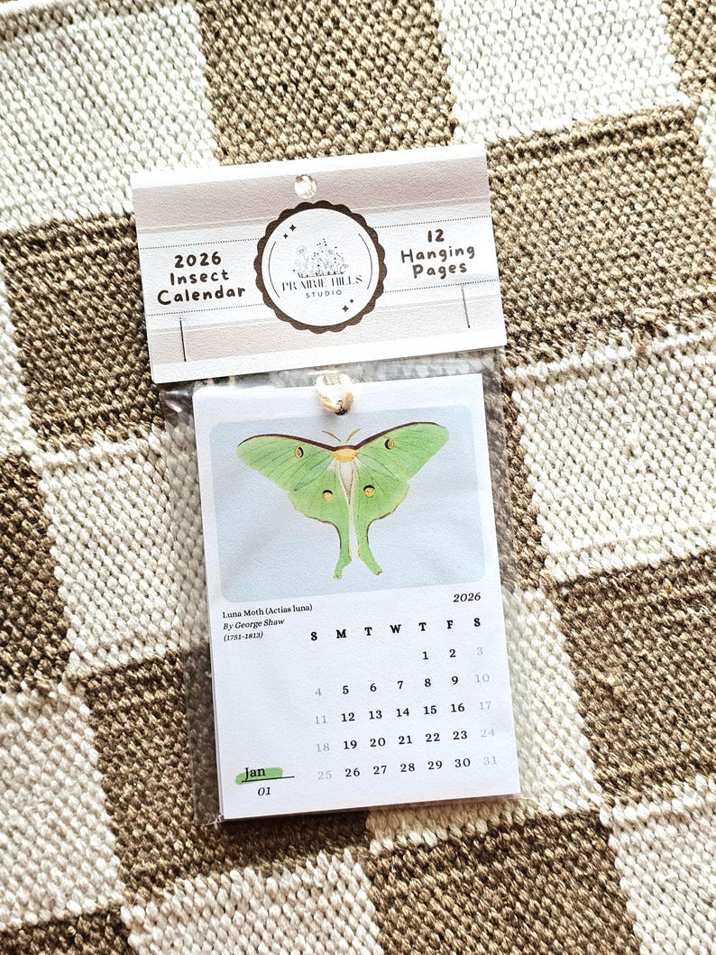 Moths & Butterflies 2026 Mini Wall Calendar: Insect Illustrations - Etsy