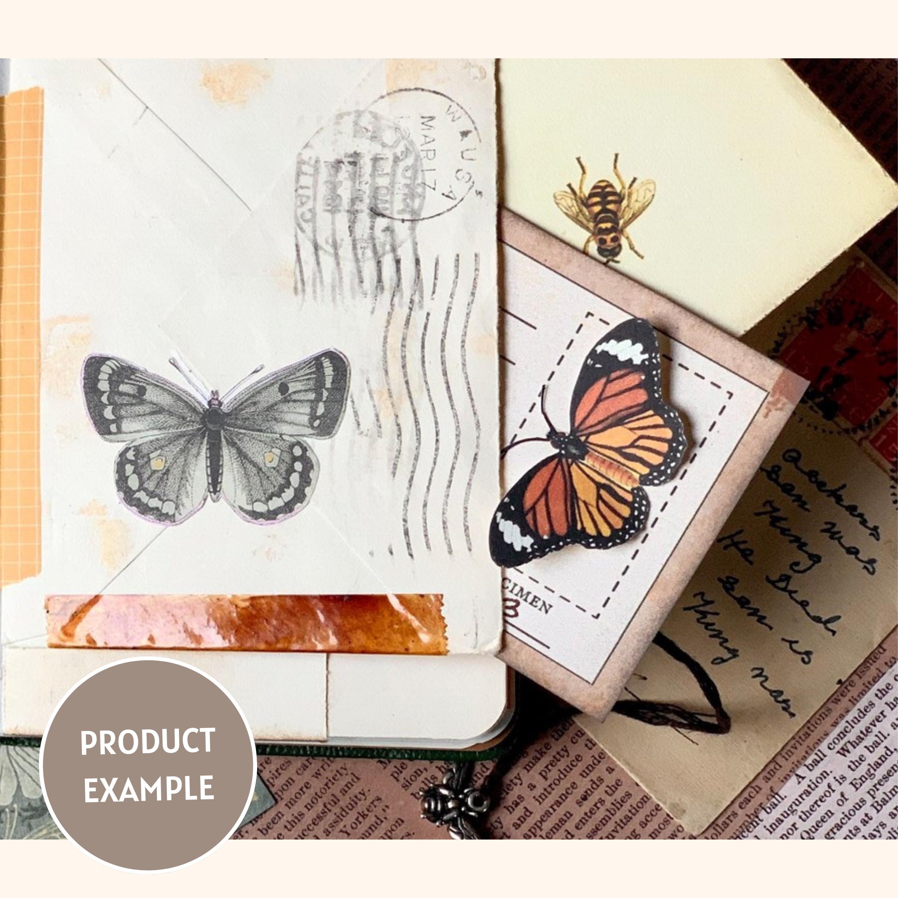 Butterfly Specimen Card Kit (digital Download) - Etsy