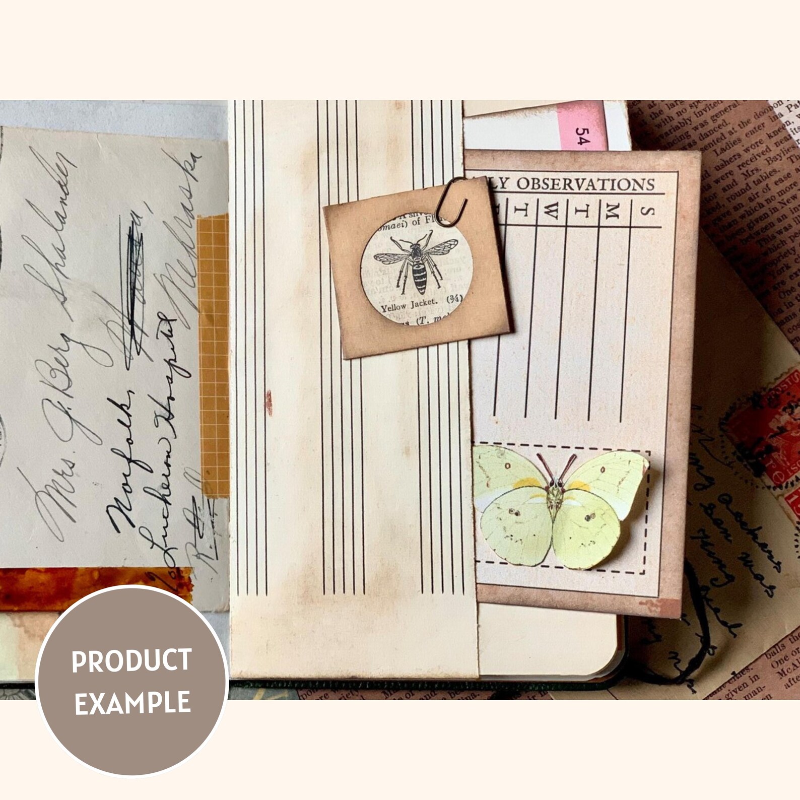 Butterfly Specimen Card Kit (digital Download) - Etsy