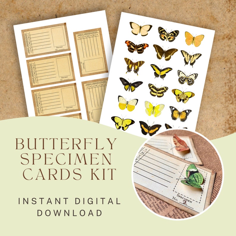 Butterfly Specimen Card Kit Digital Download Printable - Etsy