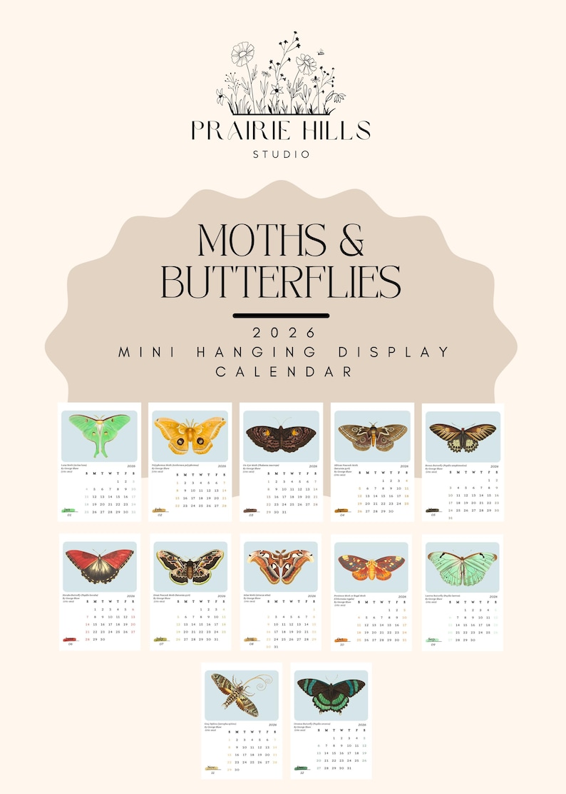 Moths & Butterflies 2026 Mini Wall Calendar: Insect Illustrations - Etsy