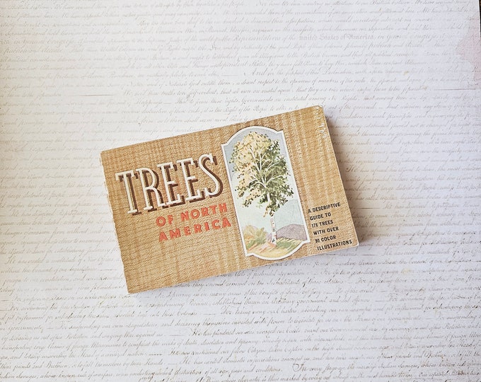 Vintage 1934 Book "trees You Want to Know" by Donald Culross Peattie ...