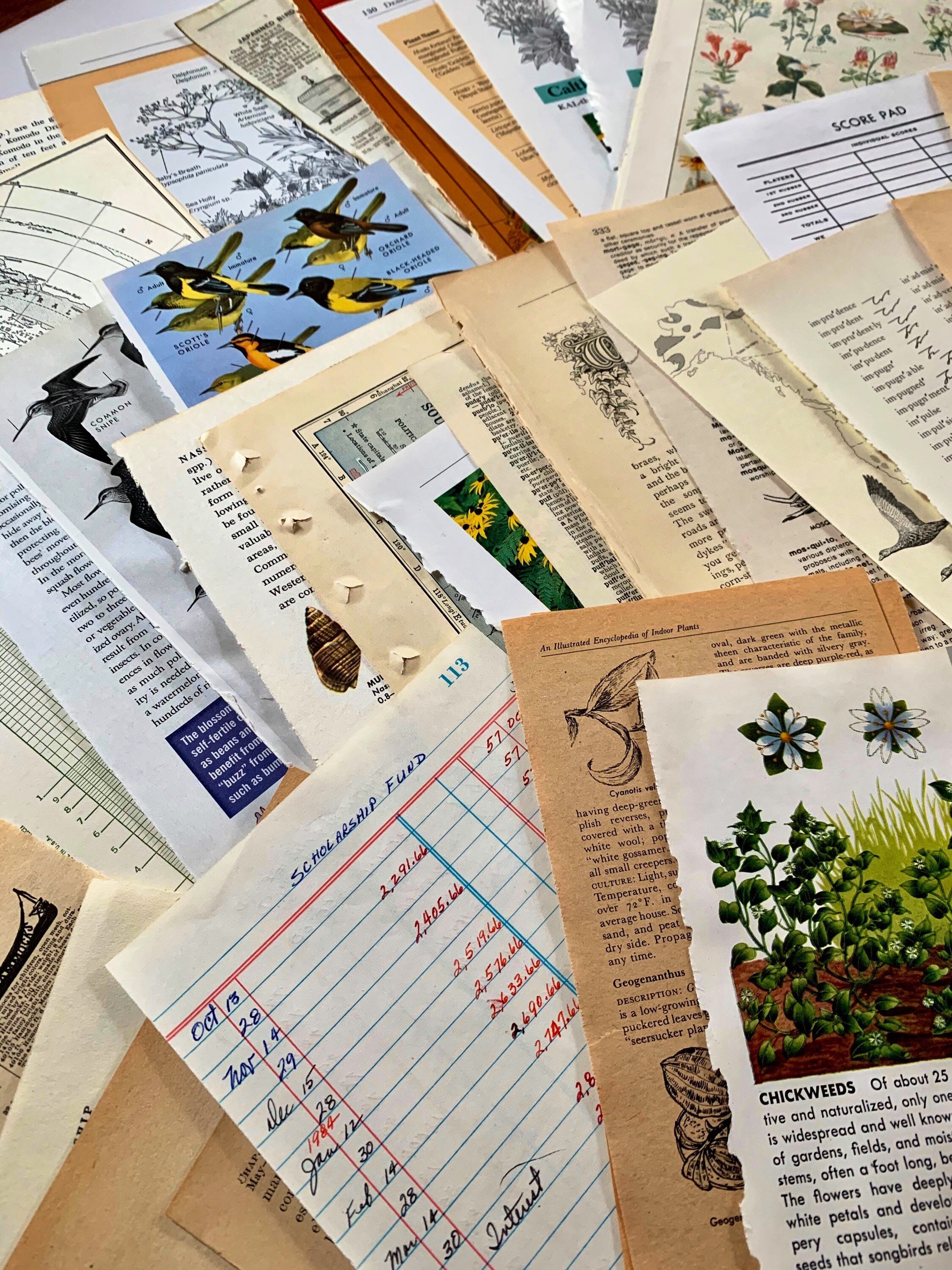 Vintage Paper Pack 100 Pages Vintage Ephemera Junk - Etsy