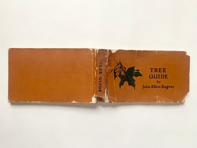 Vintage Tree Guide Book 1919 Trees Tree Identification - Etsy