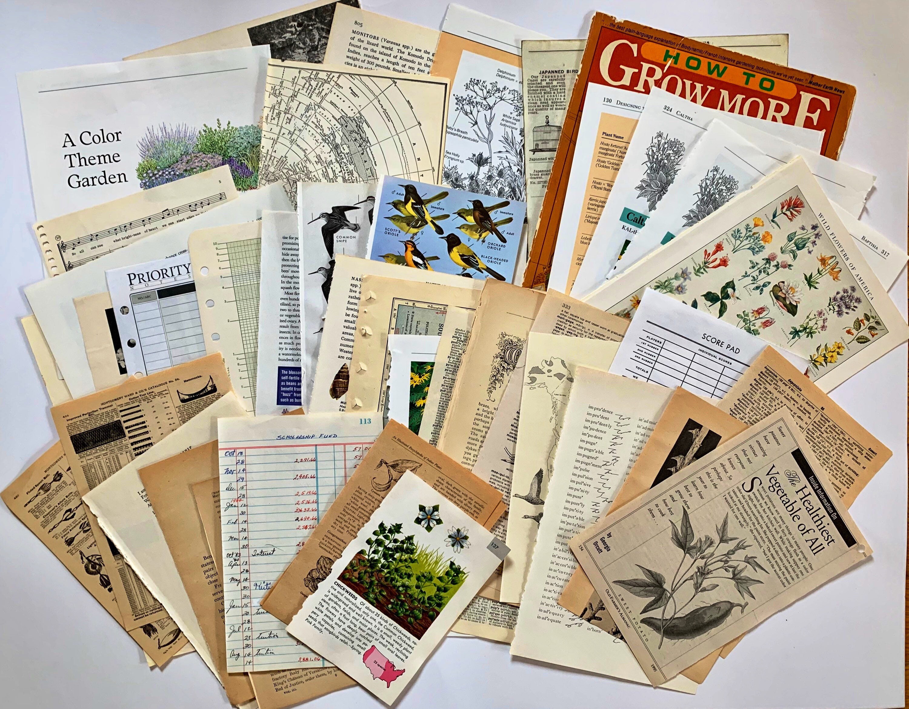 Vintage Paper Pack 100 Pages Vintage Ephemera Junk - Etsy