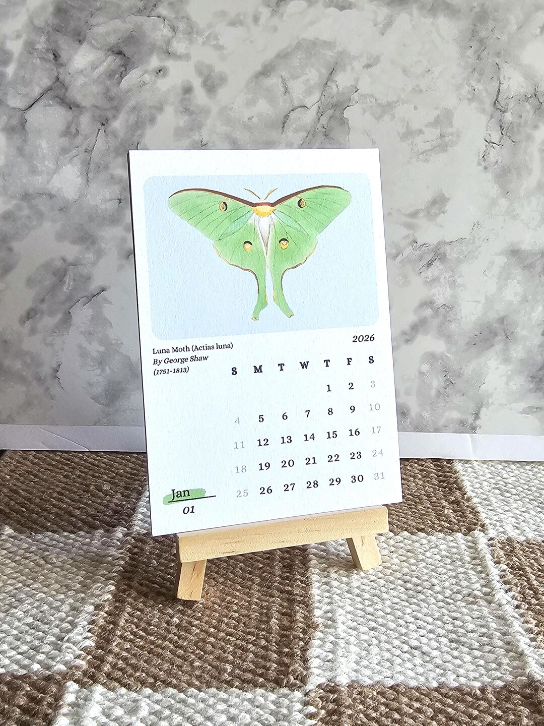 Moths & Butterflies 2026 Mini Easel Display Calendar, Insect ...