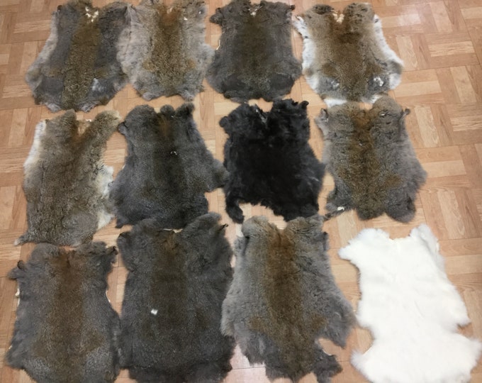 Tanned LOT of 12 b Grade RABBIT Skin Hide Fur Pelt Craft Lot Fly Tying ...