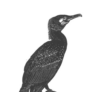 Cormorant Original Linoprint - Etsy UK