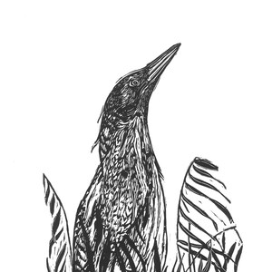 Bittern in the Reeds Original Linocut Print - Etsy UK
