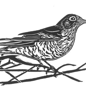The Darkling Thrush, Song Thrush Original Linoprint - Etsy UK