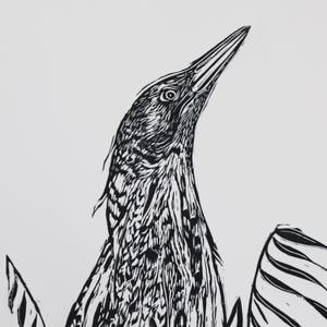 Bittern in the Reeds Original Linocut Print - Etsy UK
