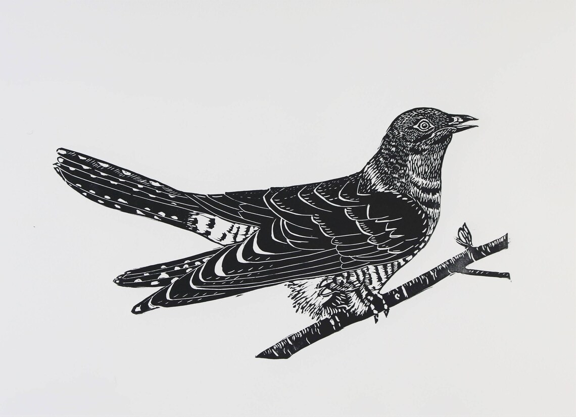Cuckoo Greetings Card - Etsy UK
