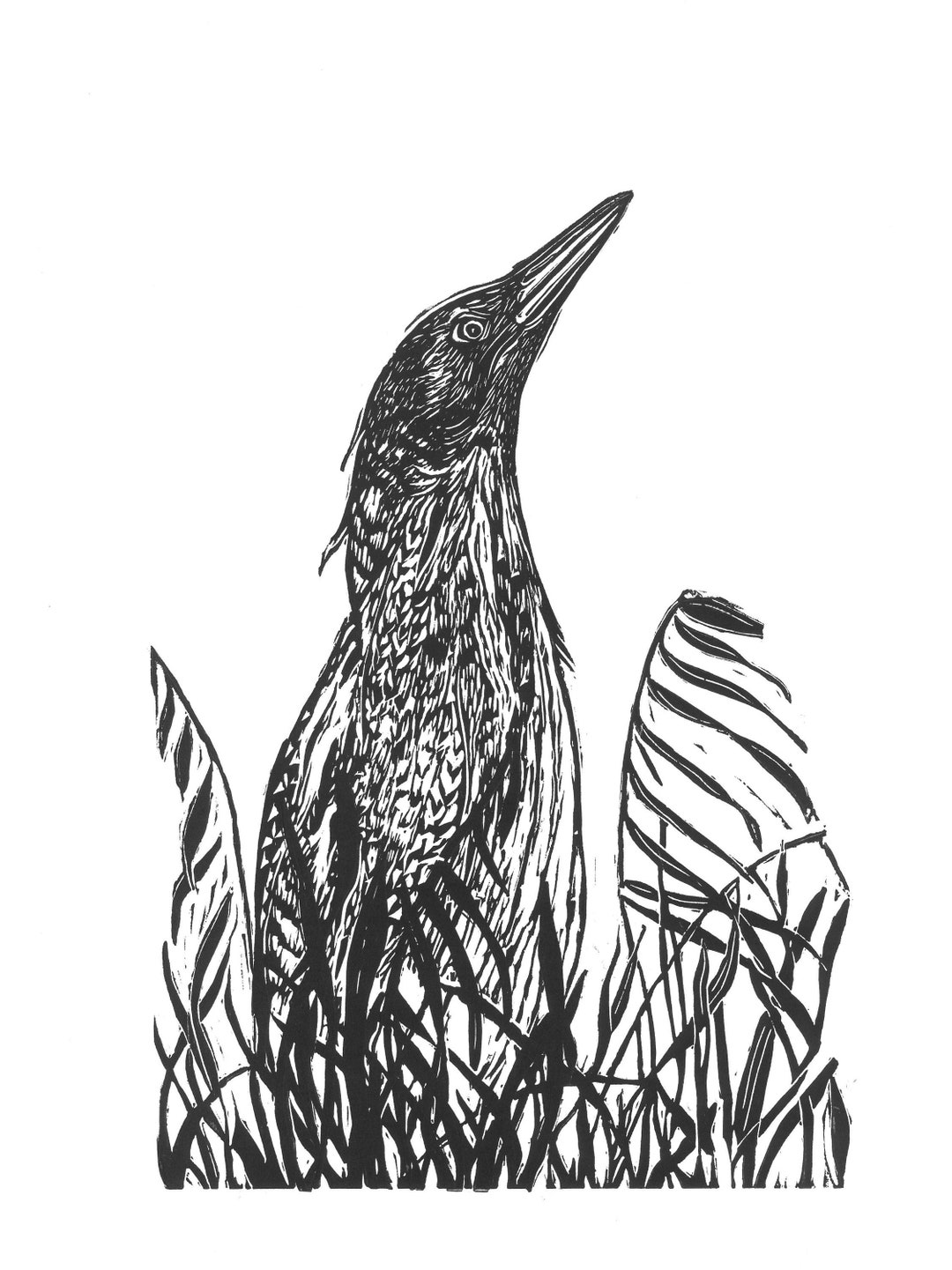 Bittern in the Reeds Original Linocut Print - Etsy