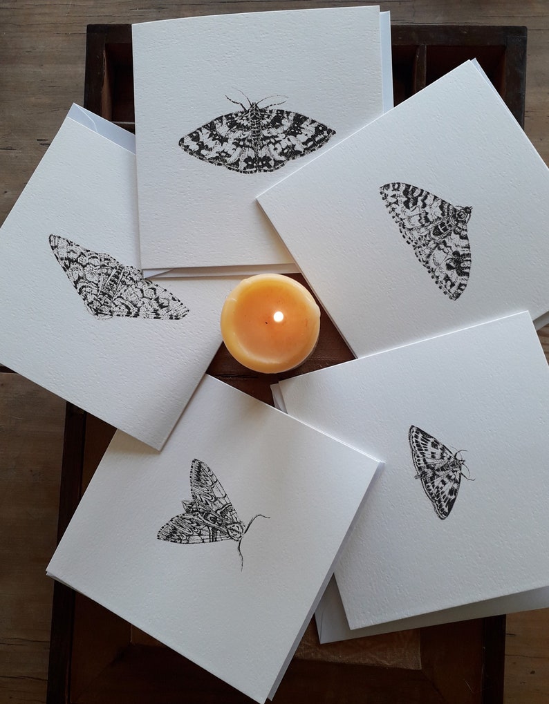 Moths 5 Greetings Card Collection - Etsy