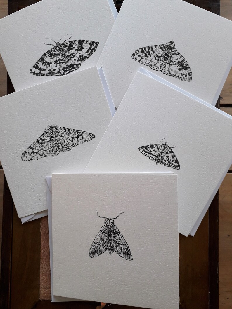 Moths 5 Greetings Card Collection - Etsy
