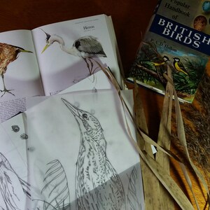 Bittern in the Reeds Original Linocut Print - Etsy UK