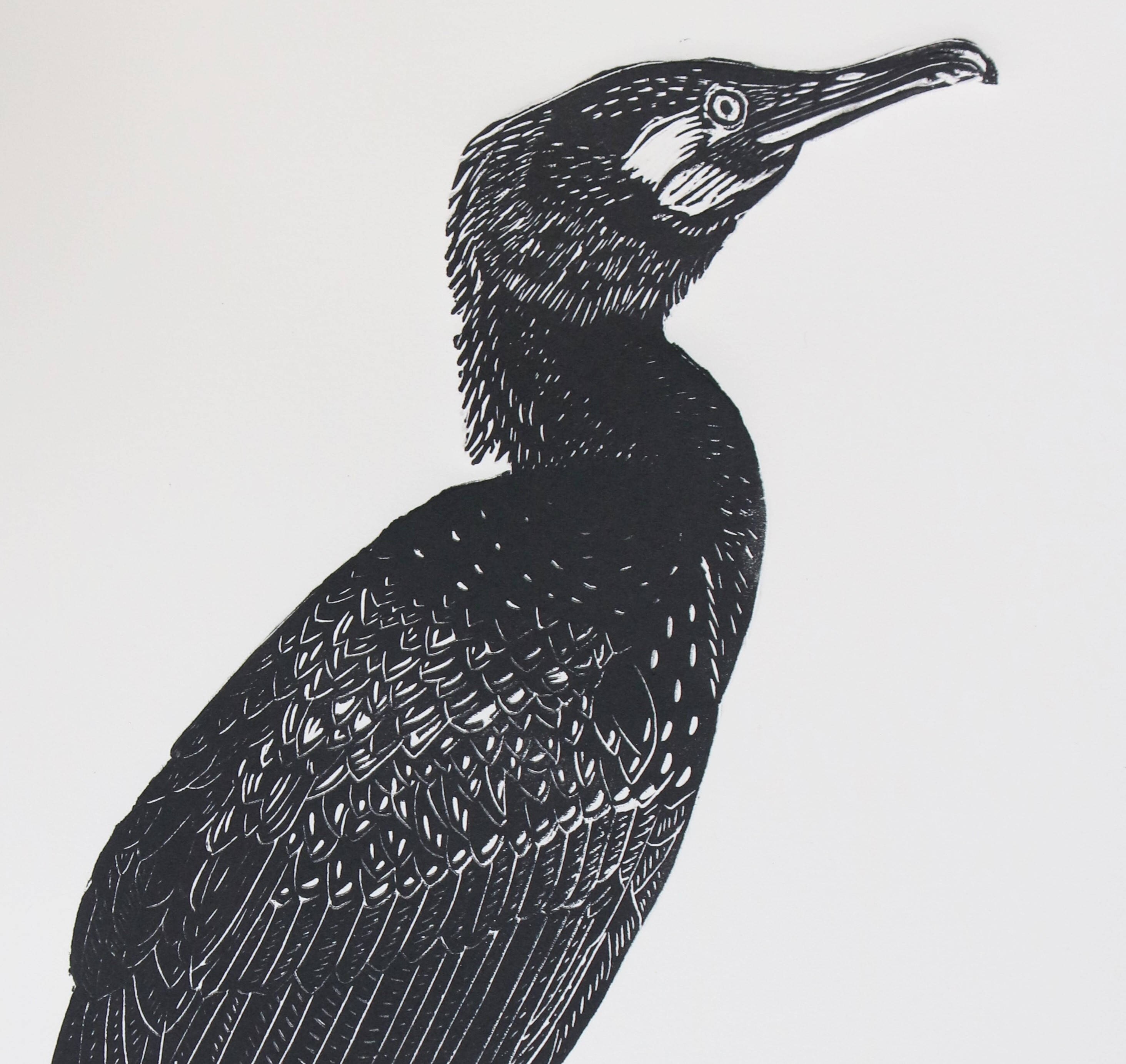 Cormorant Original Linoprint - Etsy