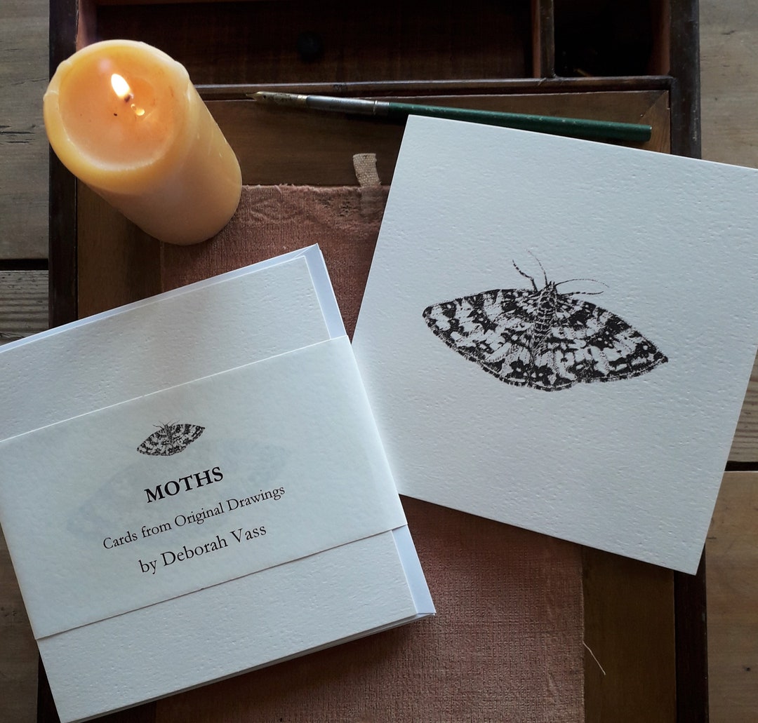 Moths 5 Greetings Card Collection - Etsy