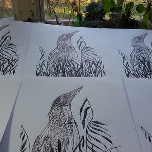 Bittern in the Reeds Original Linocut Print - Etsy UK