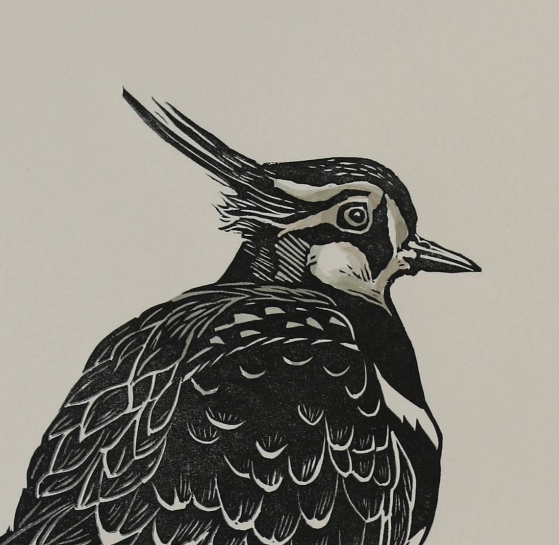 Lapwing Hand-coloured Original Linoprint - Etsy UK