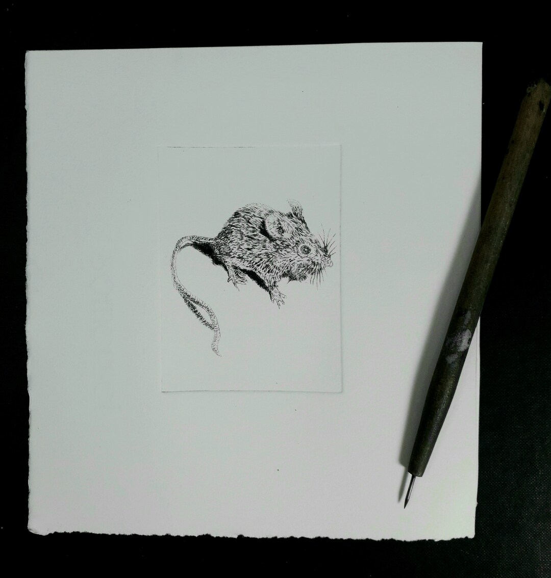 Wood Mouse Drypoint Etching Original Print - Etsy
