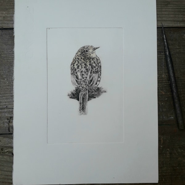 Hand Colored Etching - Etsy