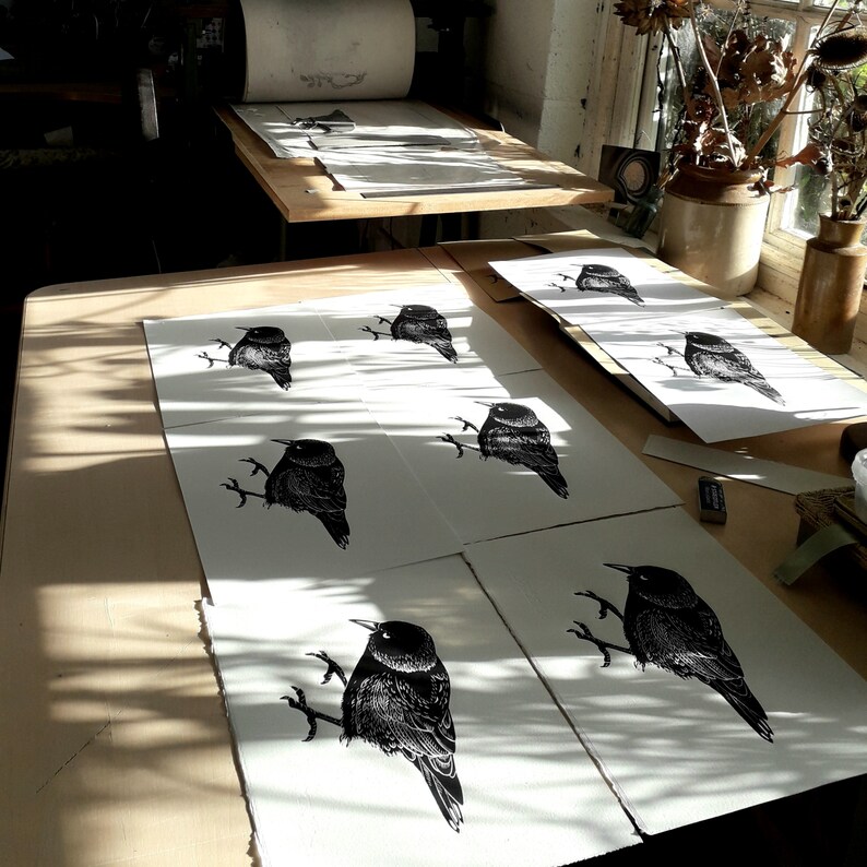 Jackdaw Linocut Original Print | Etsy
