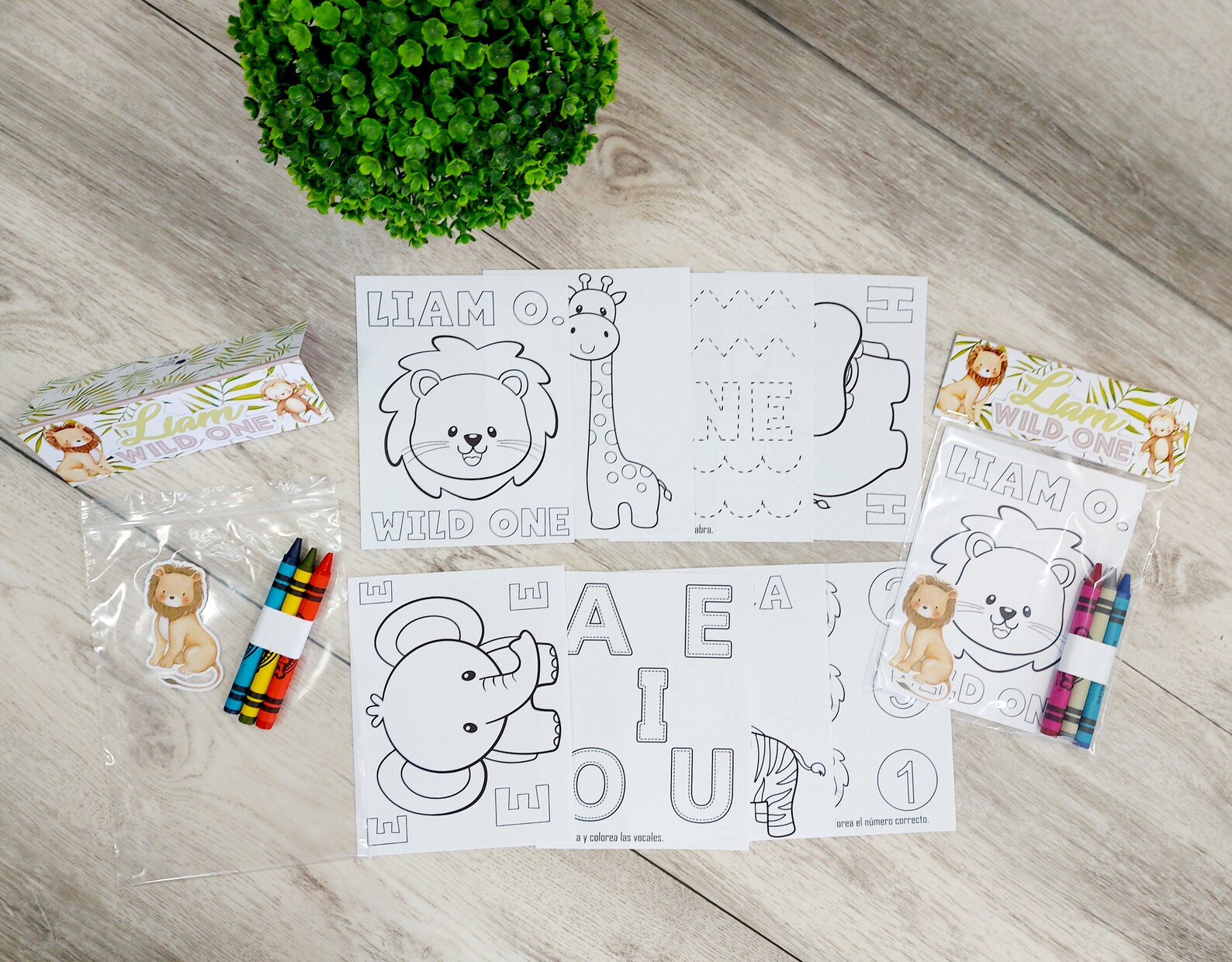 Wild Animals Coloring Book Wild One Party Decor Wild One | Etsy