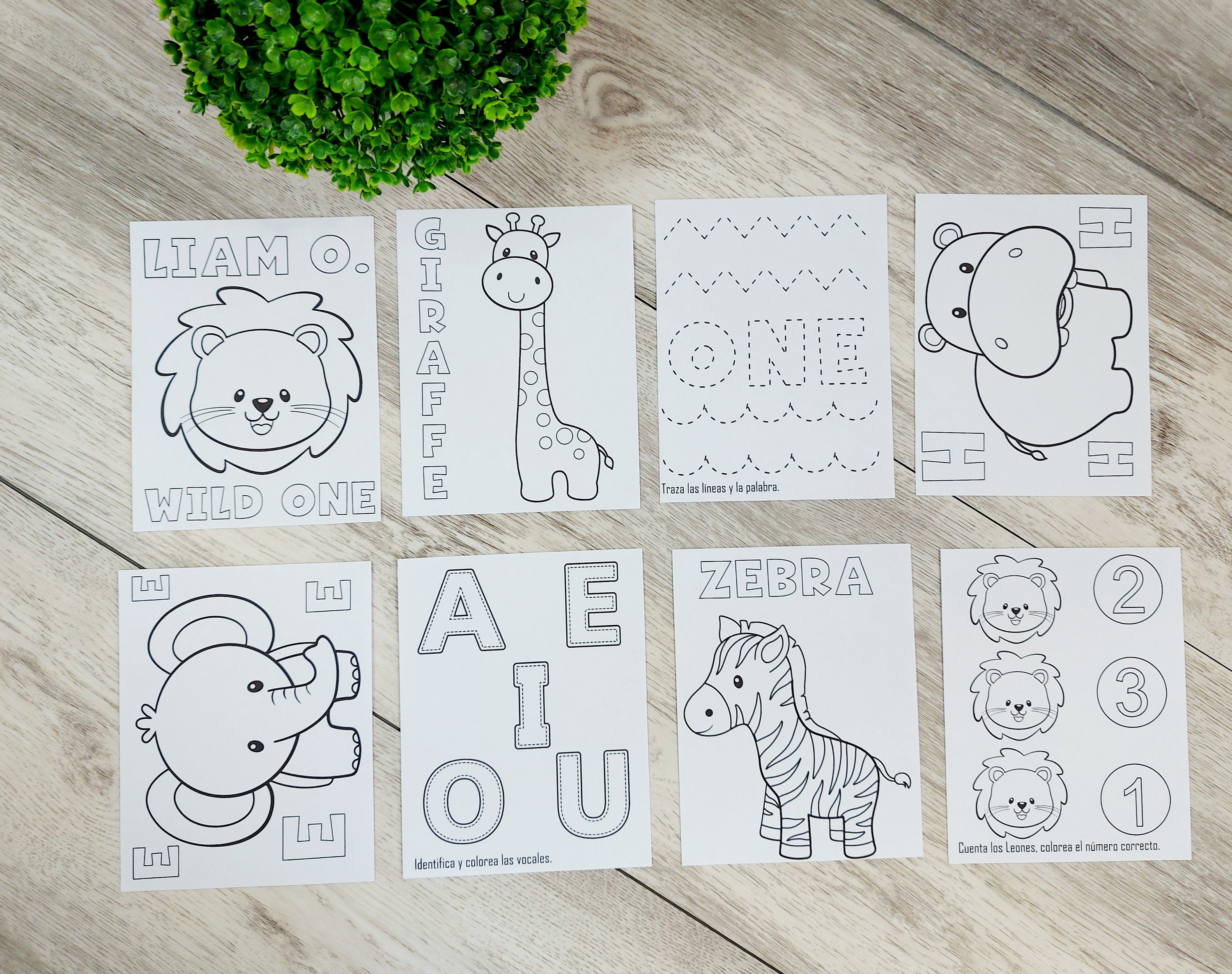 Wild Animals Coloring Book Wild One Party Decor Wild One | Etsy