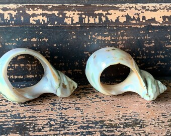 Sea Shell Napkin Holder - Etsy